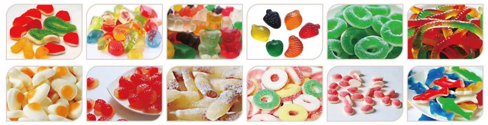 Functional gummy equipment | SINOFUDE